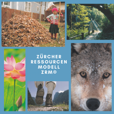 Was ist ZRM®? | GFK | Dr. med. Stephanie Schnichels